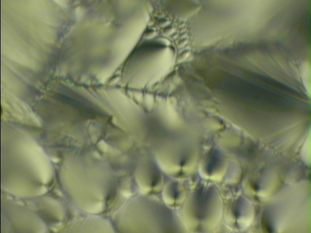 Lavrentovich Group - Textures