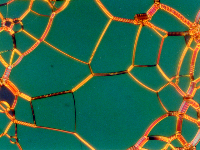 Lavrentovich Group - Textures