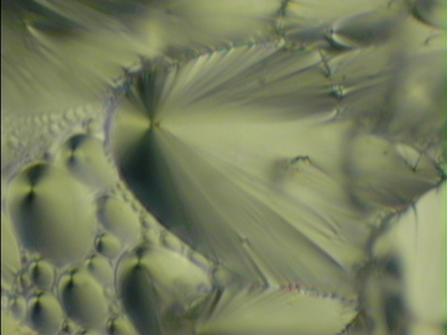 Lavrentovich Group - Textures