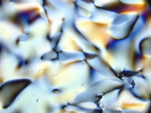 Lavrentovich Group - Textures