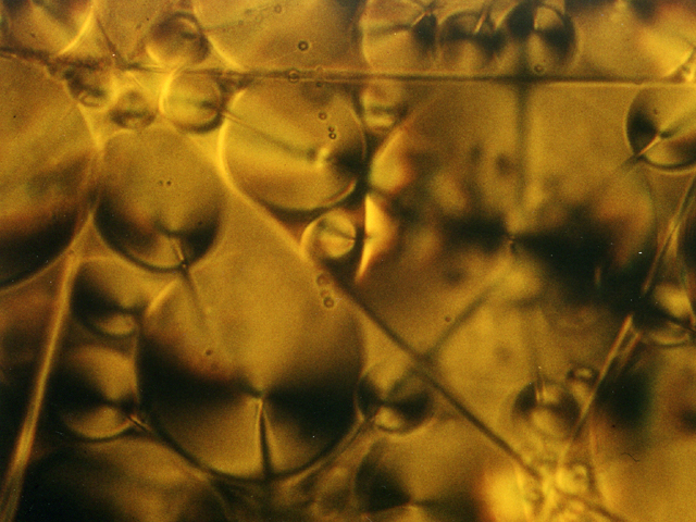 Lavrentovich Group - Textures