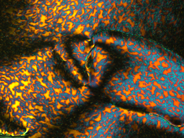 Lavrentovich Group - Textures