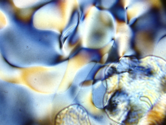 Lavrentovich Group - Textures