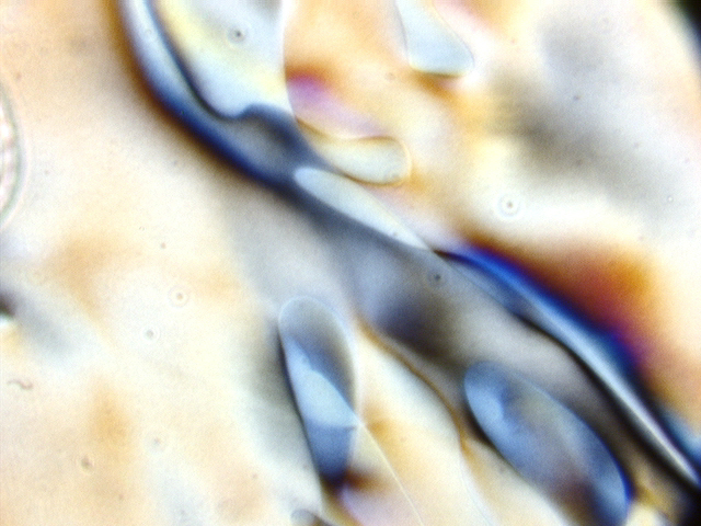 Lavrentovich Group - Textures