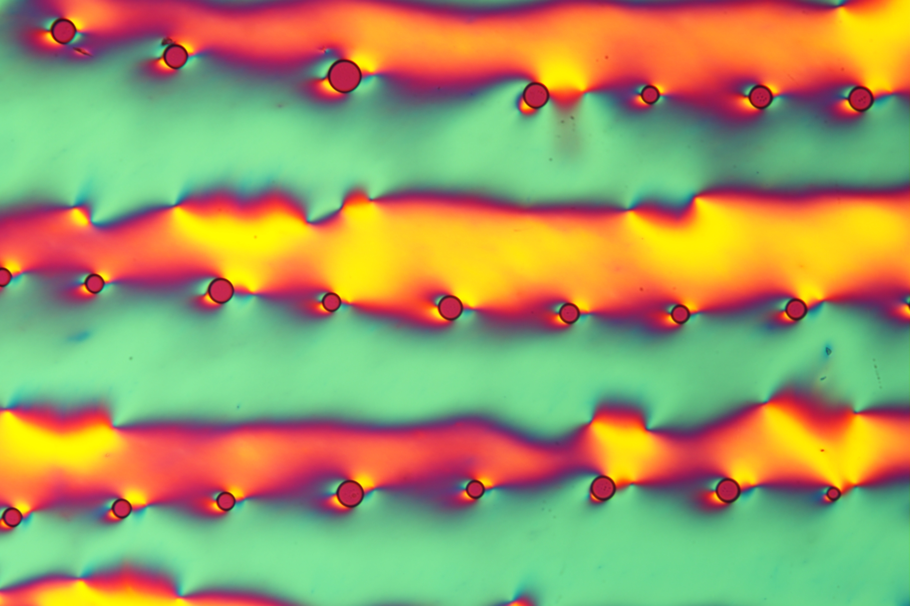 Lavrentovich Group - Textures