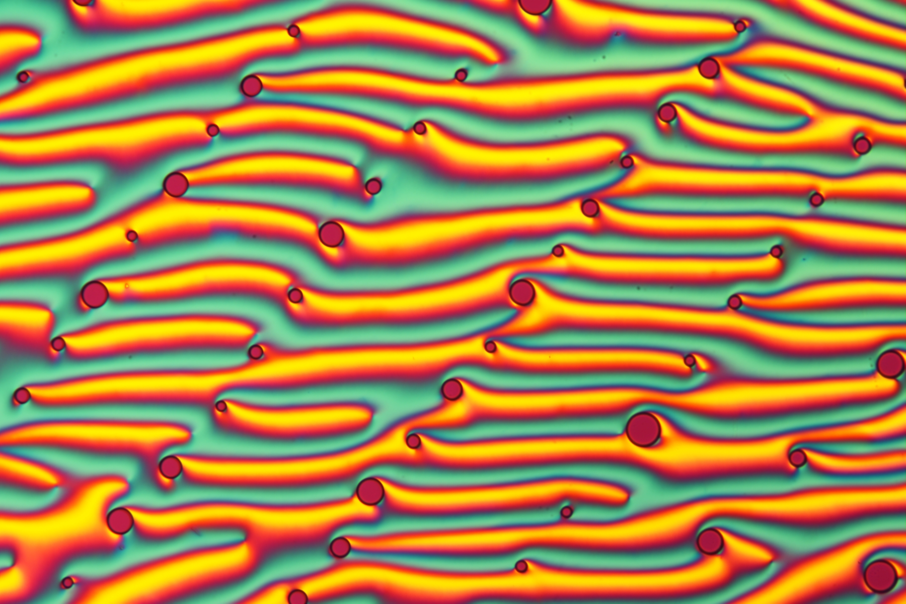 Lavrentovich Group - Textures