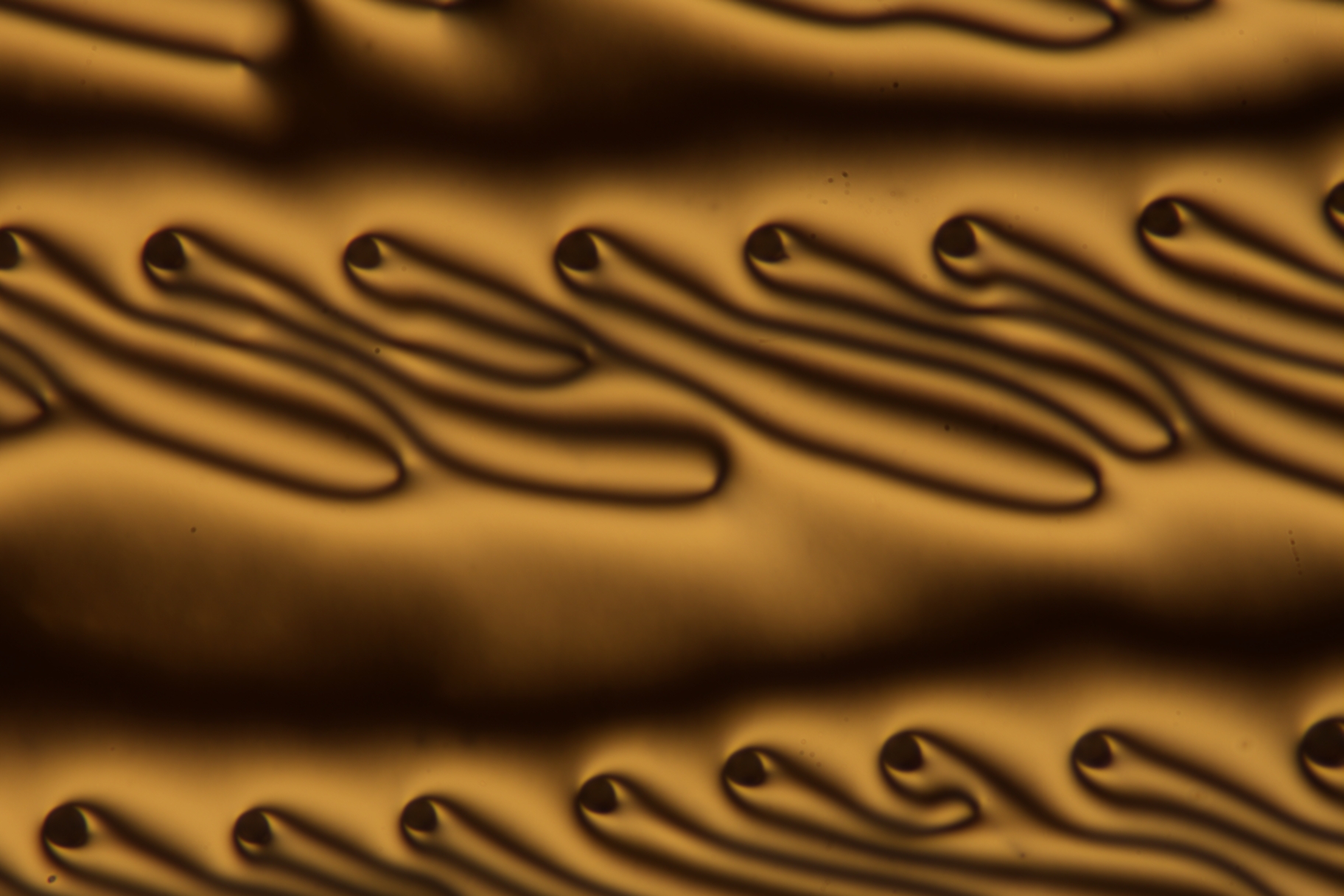 Lavrentovich Group - Textures